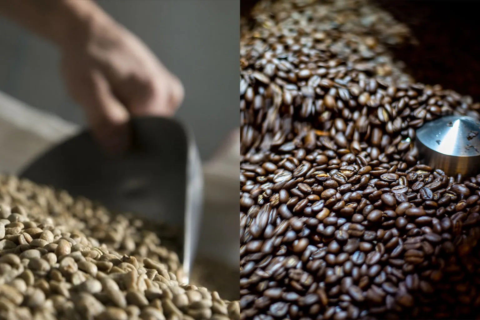 Custom Roasting – Rousey Coffee Roasters